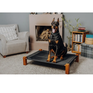 Hundeseng med Bein | Komfort og ventilasjon for hunden din